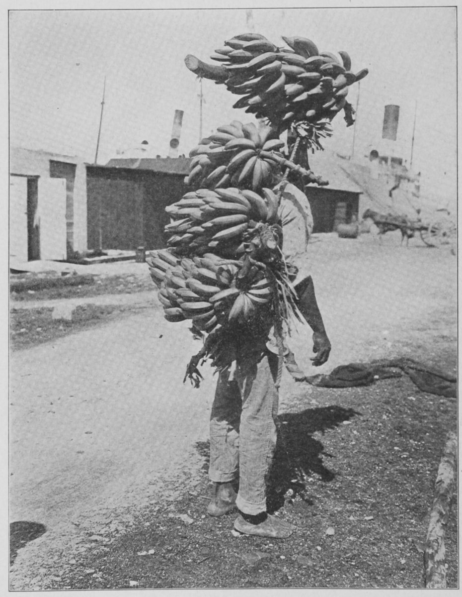 La storia della United Fruit Company - Lo Spiegone